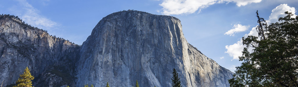 Law Offices of David W. Knight